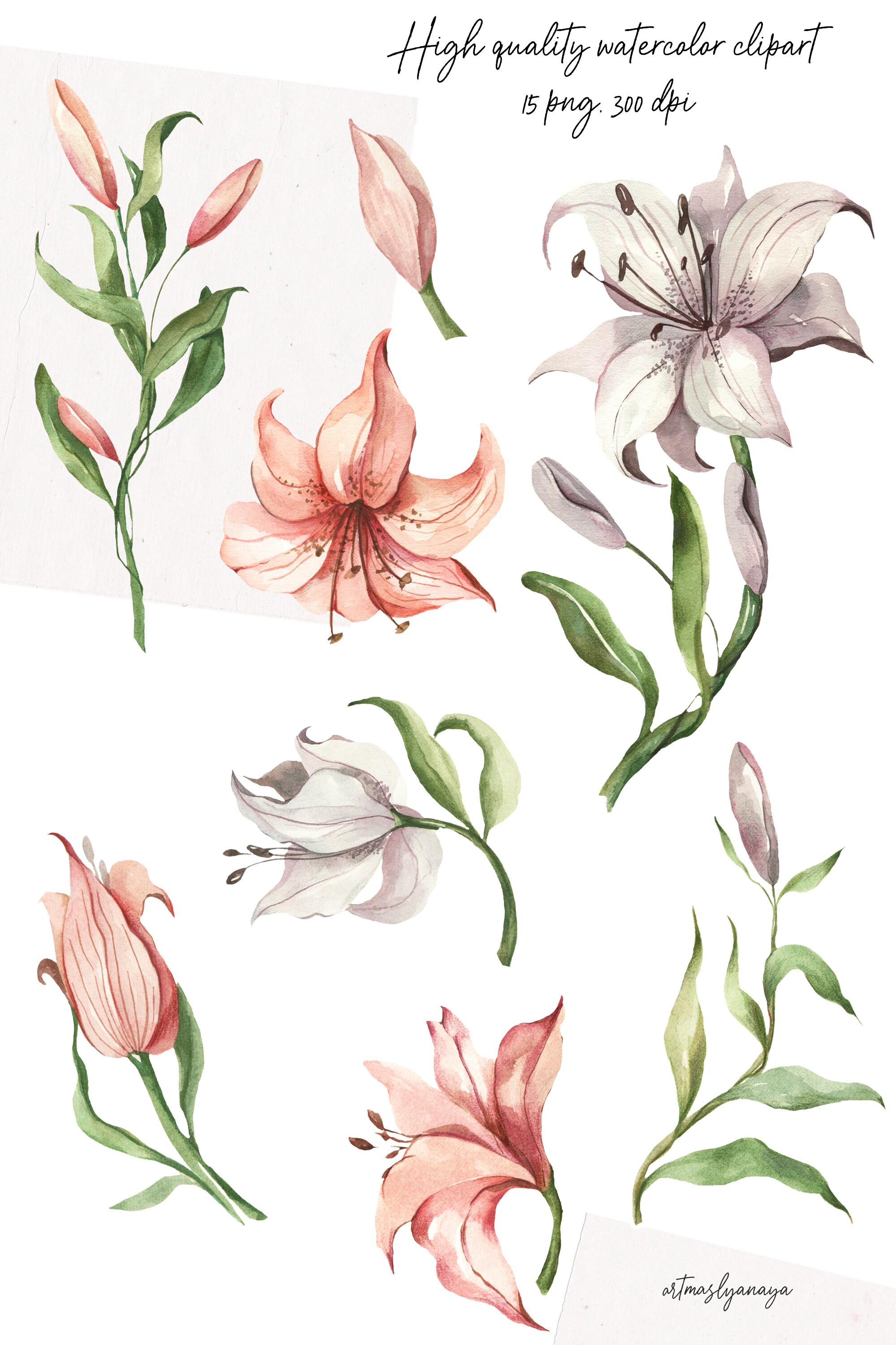 Watercolor Digital Clipart of Lilies. Hand Painted Flower Set for ...