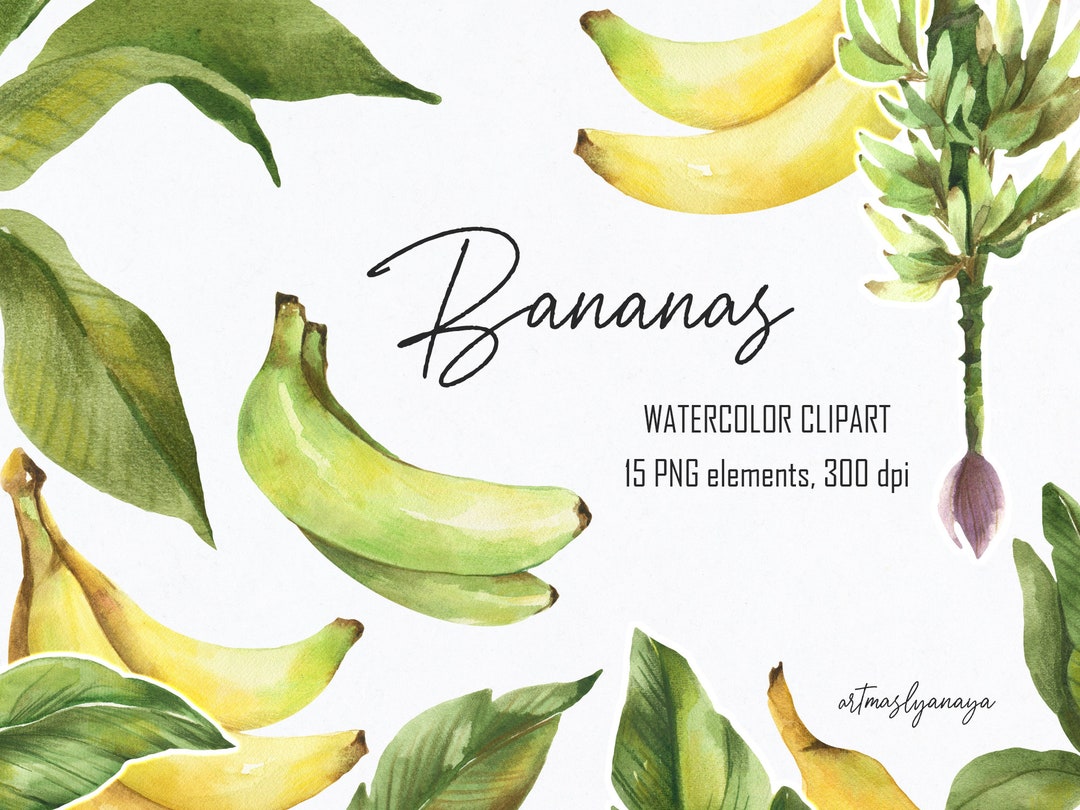 Watercolor Banana Clipart, Exotic Green and Yellow Fruit. Hand Painted ...