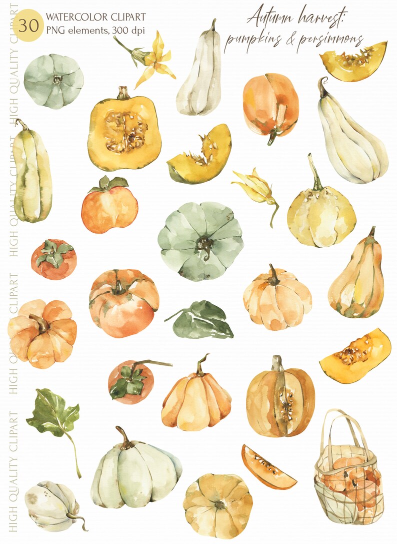 Watercolor Autumn Harvest: Pumpkins and Persimmons Clipart. | Etsy