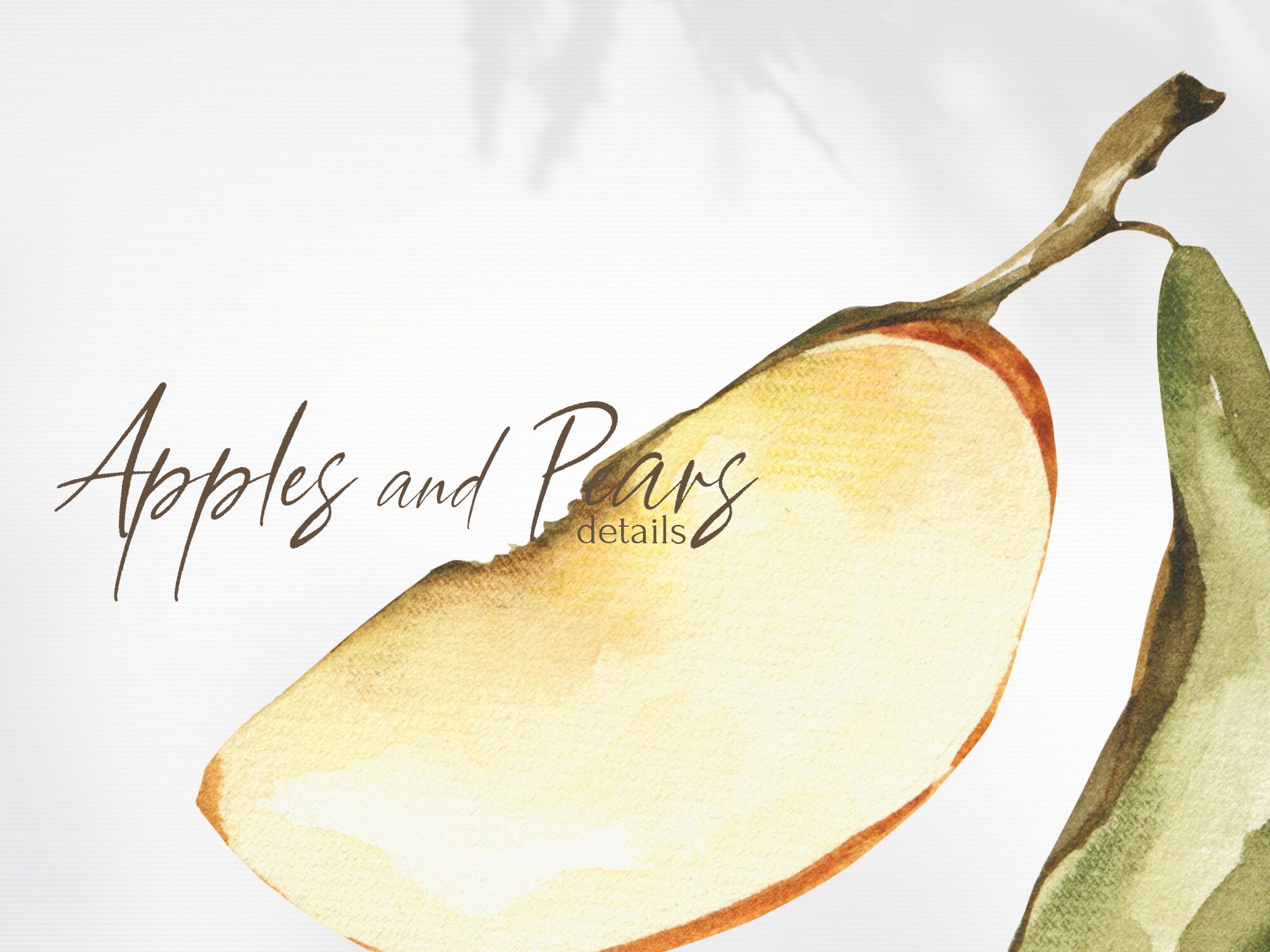 Watercolor Apples and Pears clipart. Autumn summer harvest of | Etsy