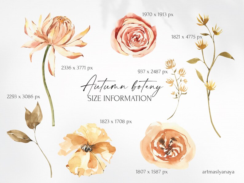 Watercolor Autumn Flowers Clipart for Instant Download. Fall - Etsy