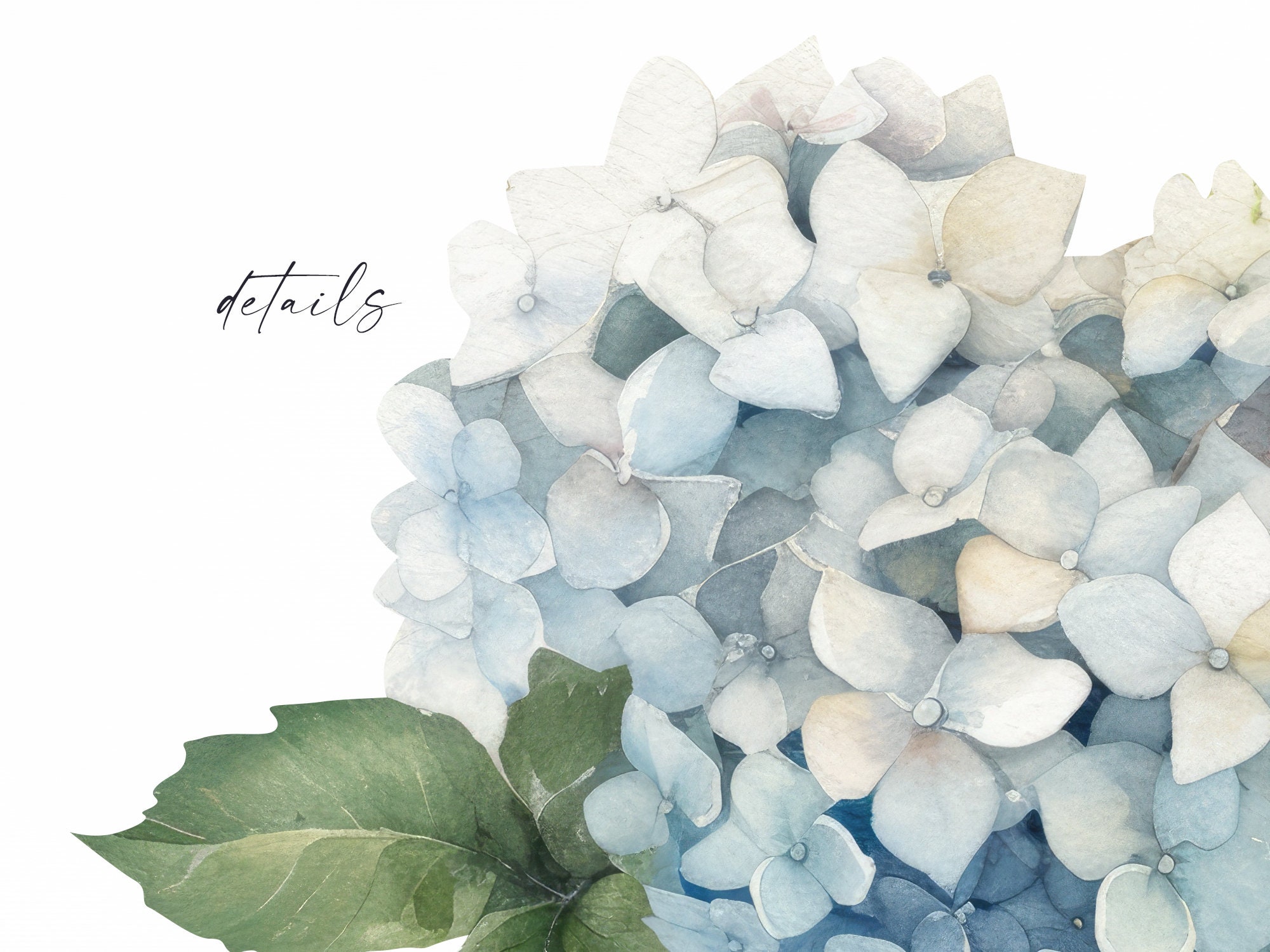 Watercolor Hydrangea Garden Clipart, Gardening. Houses, Birdhouse ...