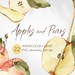 Watercolor Apples and Pears Clipart. Autumn, Thanksgiving Clipart ...