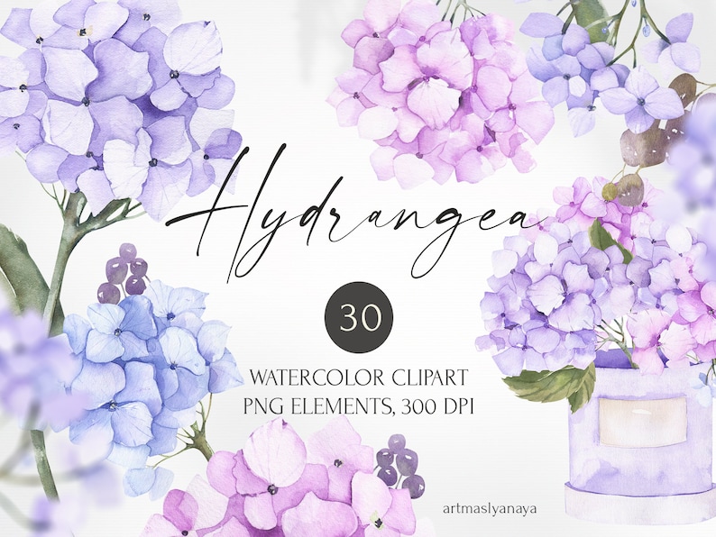 Watercolor Hydrangea Flowers Clipart for Instant Download. - Etsy