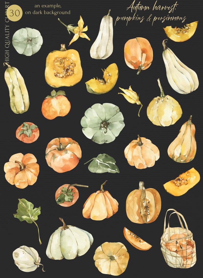 Watercolor Autumn Harvest: Pumpkins and Persimmons Clipart. | Etsy