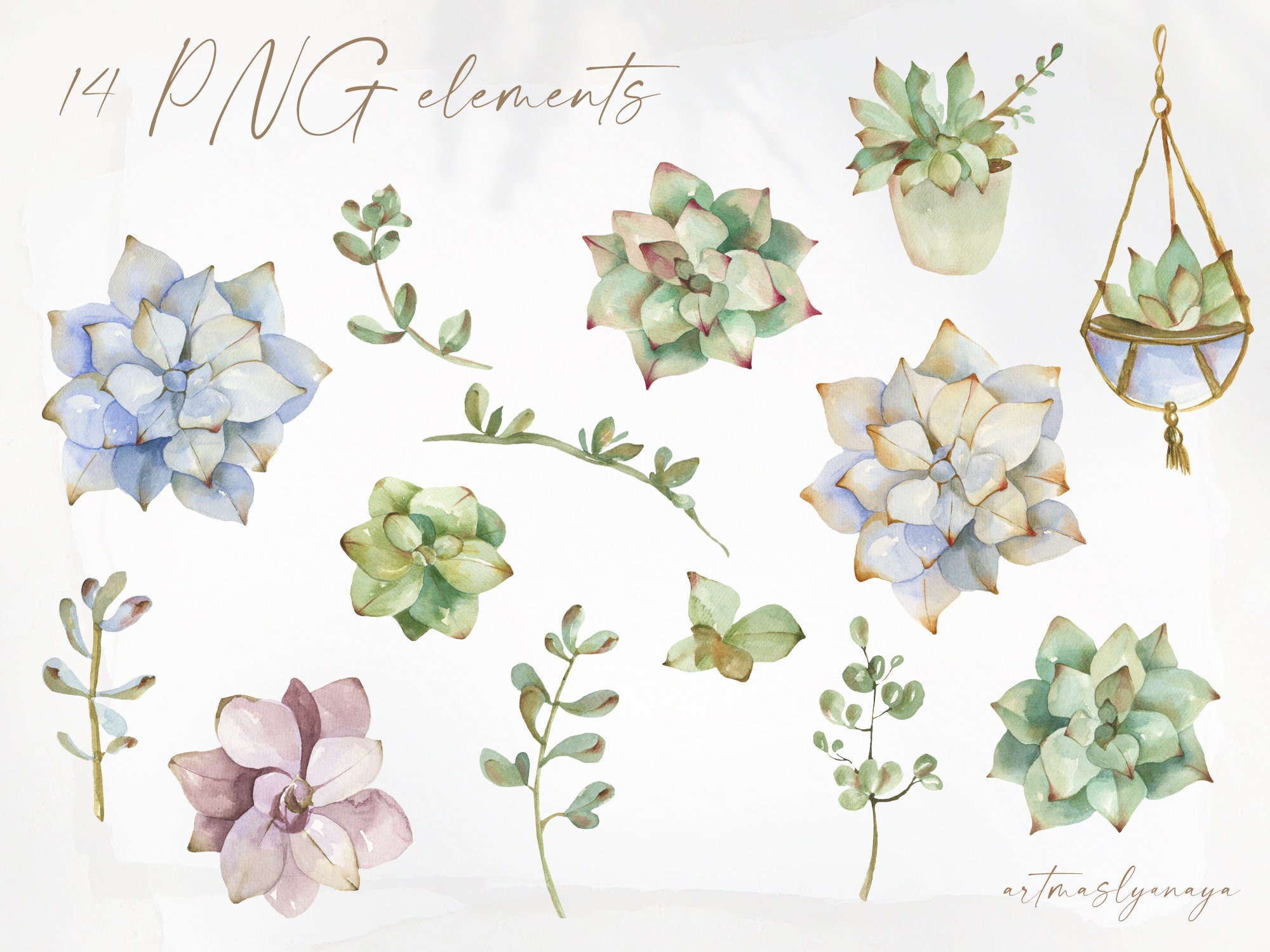 Watercolor Succulents Clipart for Instant Download. Hand - Etsy