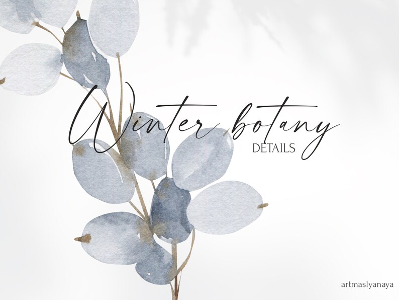 Watercolor Winter Botany Clipart for Instant Download. Winter Botanical ...