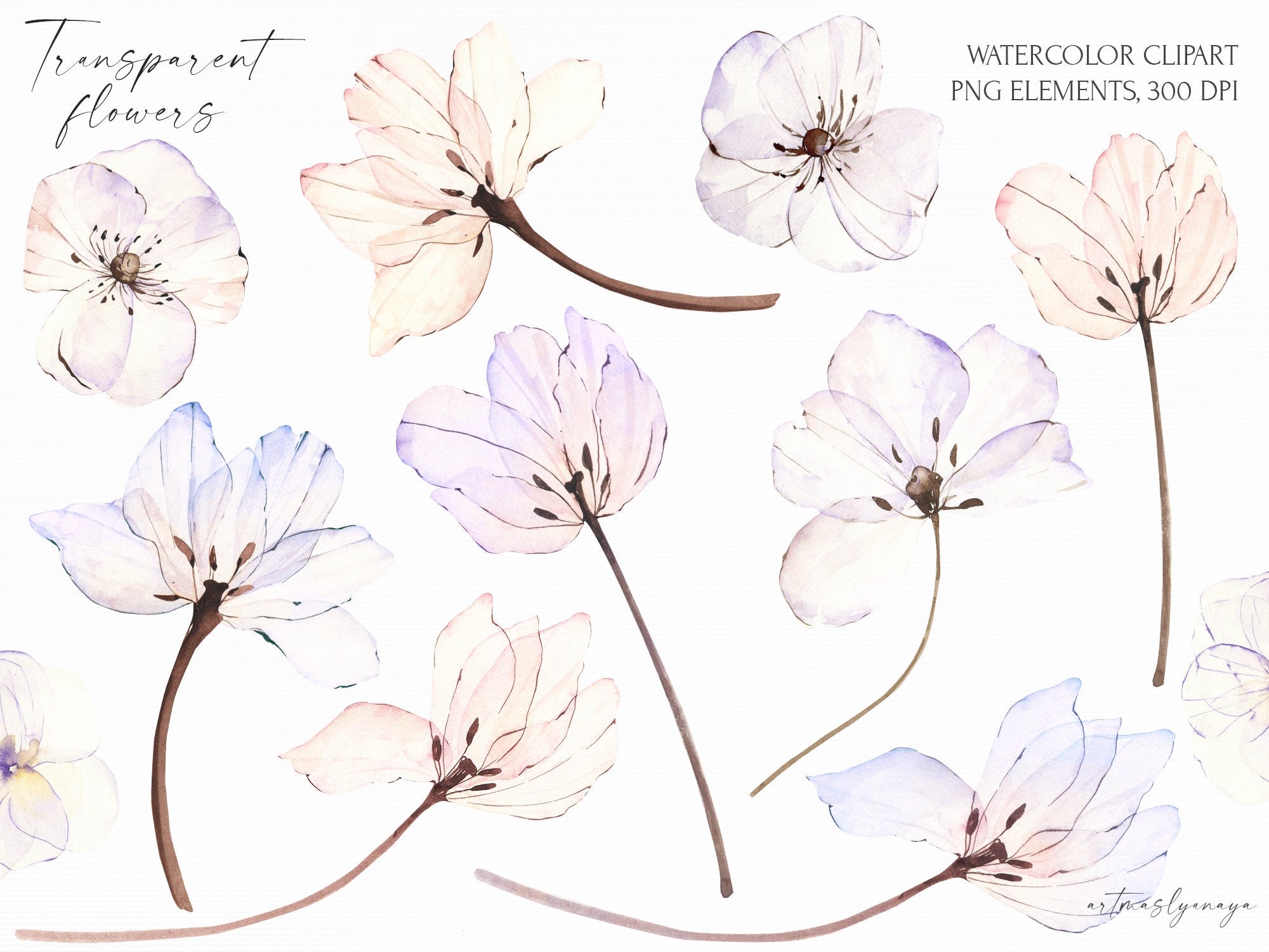 Watercolor Floral Clipart, Transparent Spring Flowers, Tulip Hand ...