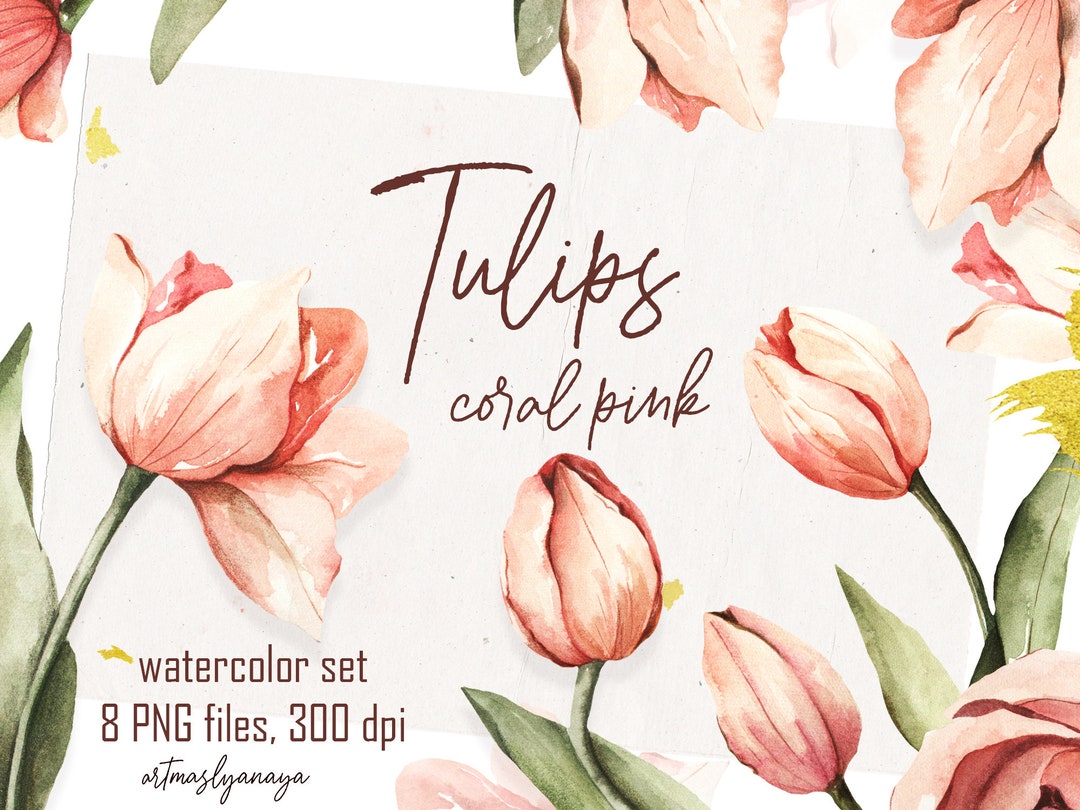 Watercolor Tulips Clipart, Coral Pink Color. Hand Drawn Digital Images ...