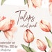 Watercolor Tulips Clipart, Coral Pink Color. Hand Drawn Digital Images ...