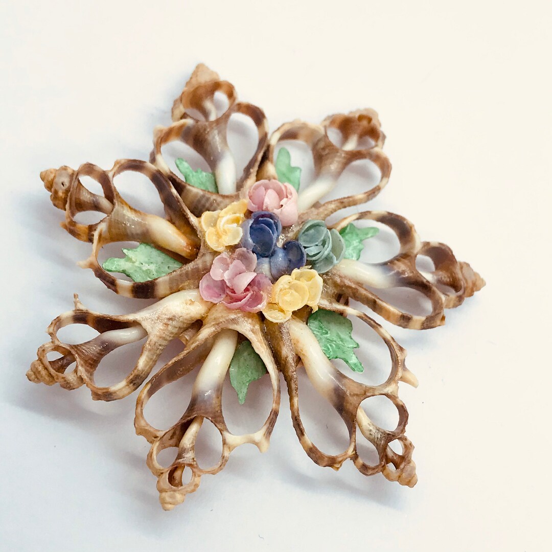 One of a Kind Bohemian Vintage Shell Brooch 1970s - Etsy