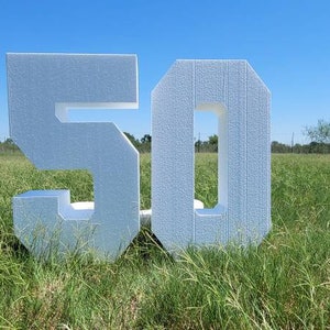 Big Foam Numbers 50. 30in Tall and 8in Thick. for Any Two Numbers. - Etsy