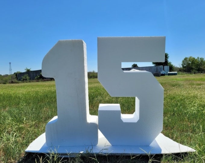 Foam Numbers 6, 12 and 24 1 Pc for Signs and Decorating Free Shipping ...