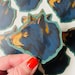 Black Bear Sticker, Norther American Bears, Nature Stickers, Vinyl ...