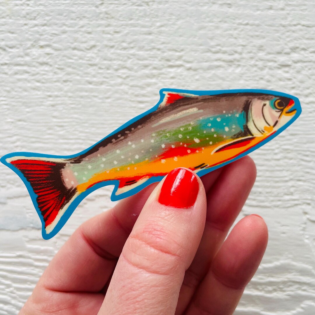 Illustrated Brook Trout Sticker, Fishing Sticker, Outdoorsman Vinyl ...