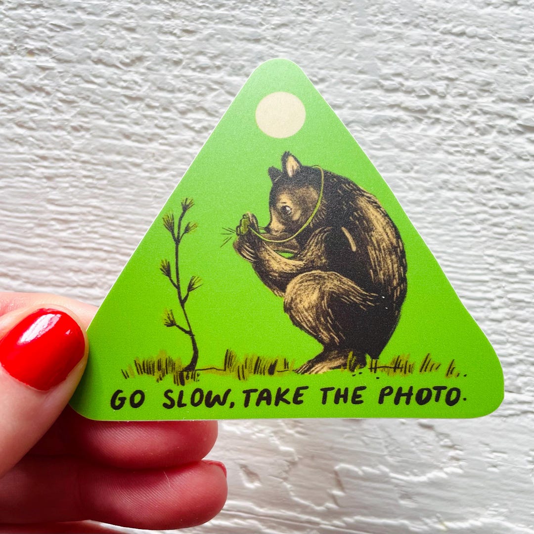 Go Slow Bear Matte Sticker, Vinyl Decal, Take Pictures, Waterproof ...