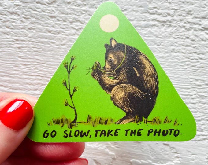 Go Slow Bear Matte Sticker, Vinyl Decal, Take Pictures, Waterproof ...