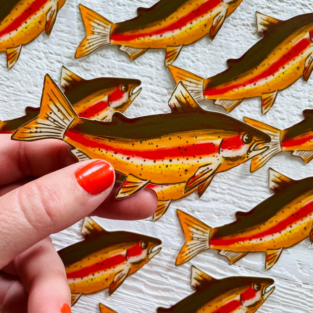 Rainbow Trout Sticker, Fishing Sticker, Vinyl Sticker, Adventure ...
