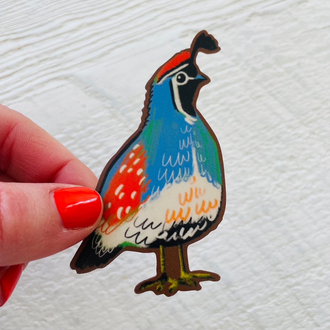 Little Quail Sticker, Vinyl Decal, Nature Sticker, Waterproof ...