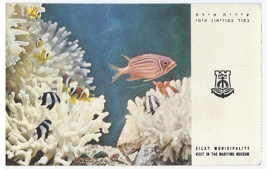 Eilat Israel, Vintage Postcard, Maritime Museum, Red Sea, Underwater ...