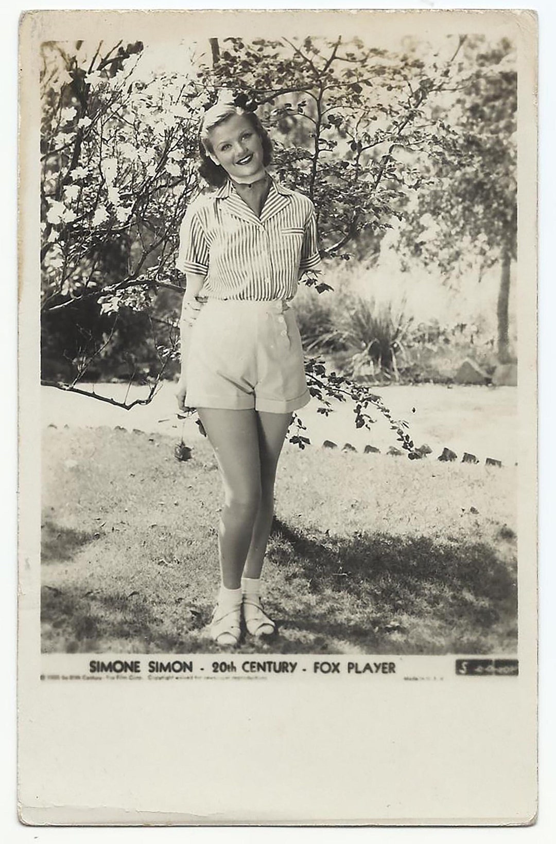 Simone Simon Vintage Postcard French Film Actress Fox - Etsy
