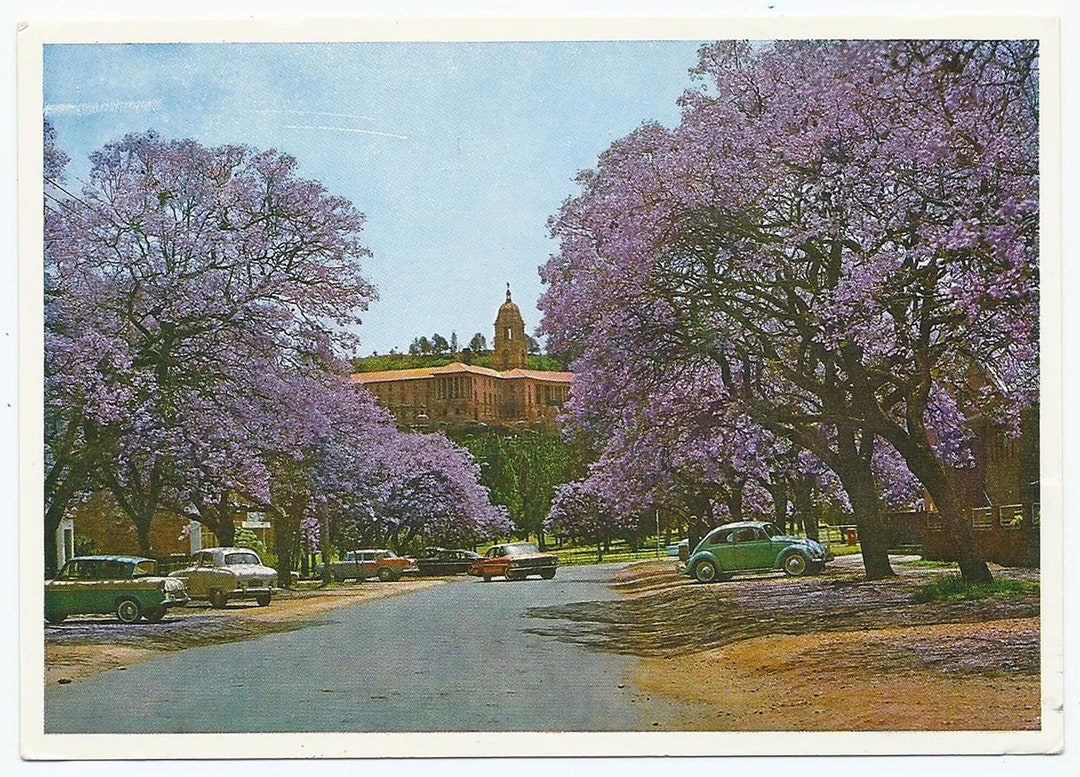Pretoria South Africa, Vintage Postcard, Union Buildings With ...