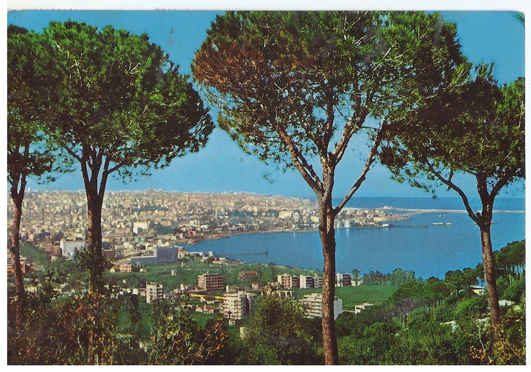 Beirut Lebanon Vintage Postcard City View From Mountains - Etsy
