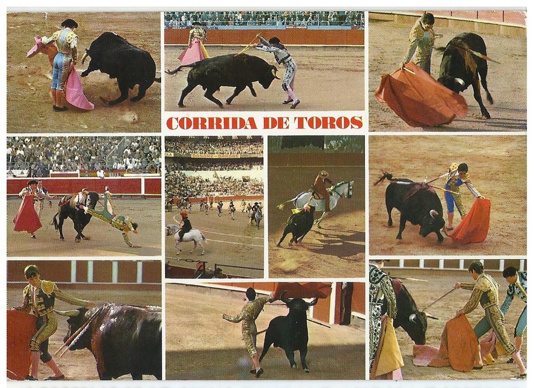 Spanish-style Bullfighting, Vintage Postcard, Corrida De Toros, 10 ...