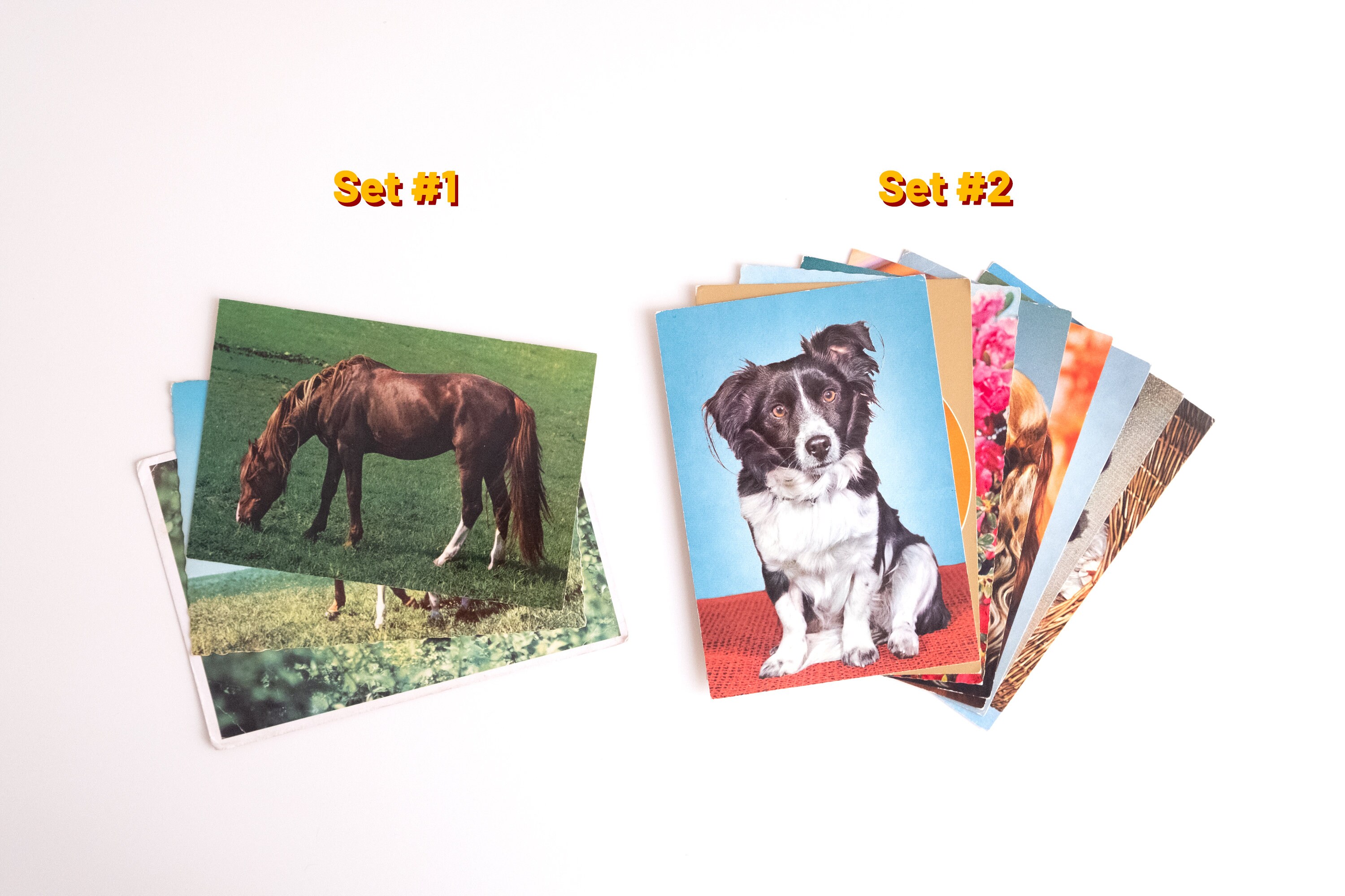 Vintage Animal Postcards Choose Your Set Dogs-puppies - Etsy