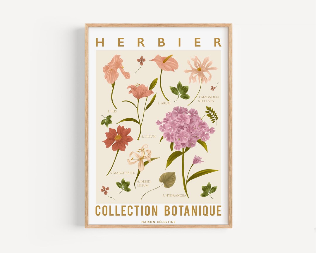 HERBARIUM Poster, Botanical Poster, Flower Illustration Poster, Floral ...
