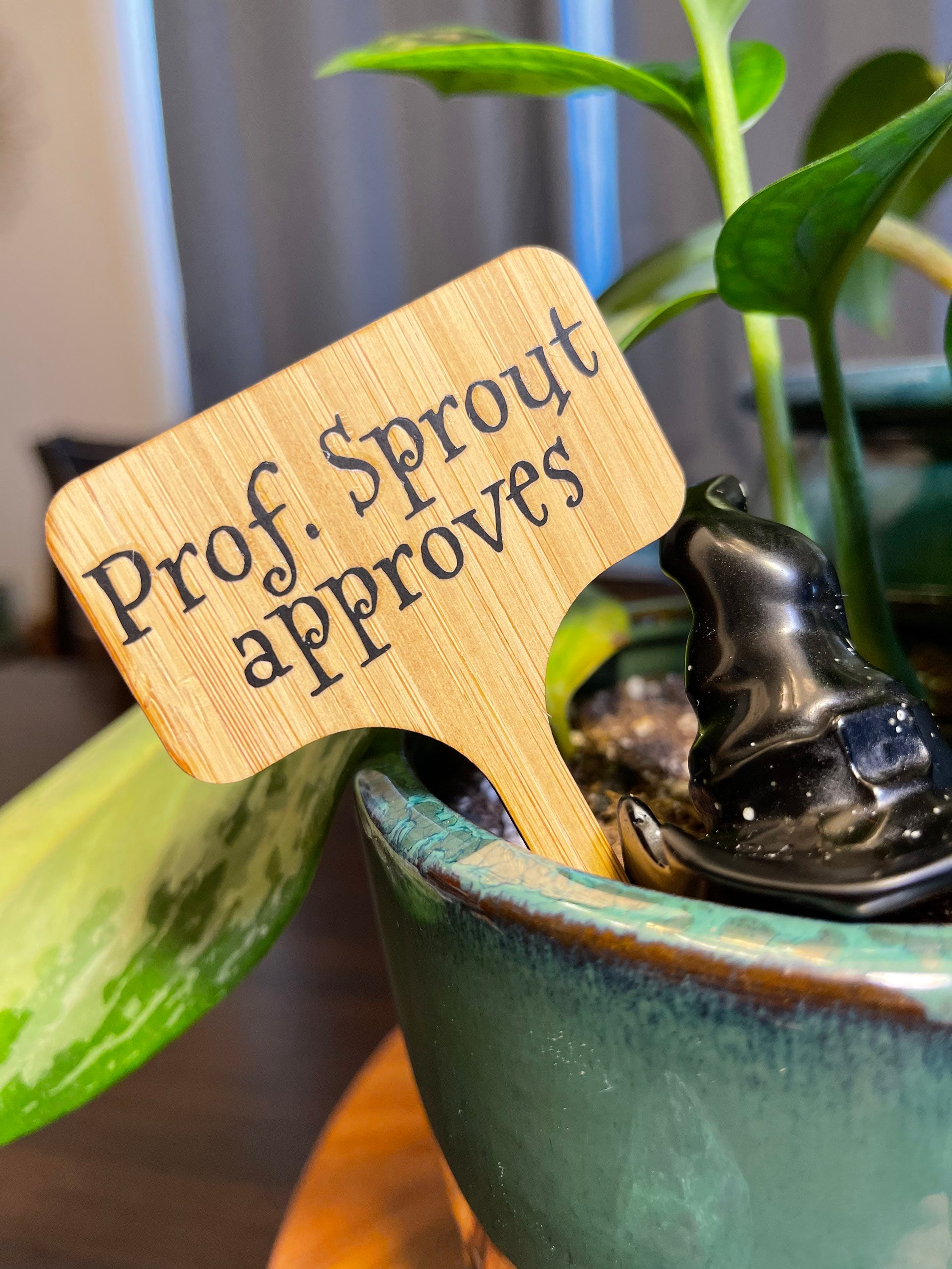 The Potter Collection - Etsy