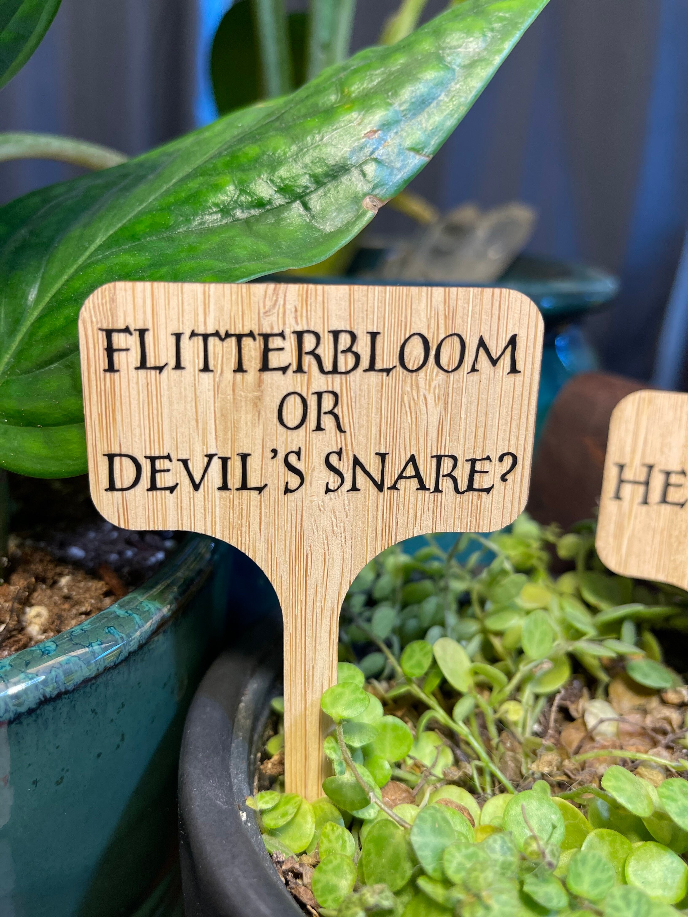 The Potter Collection - Etsy