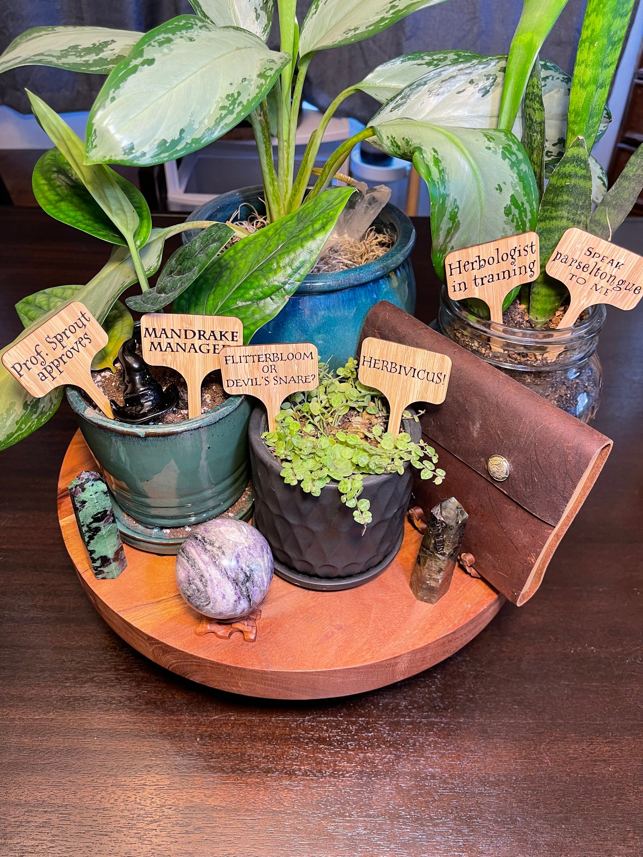 The Potter Collection - Etsy