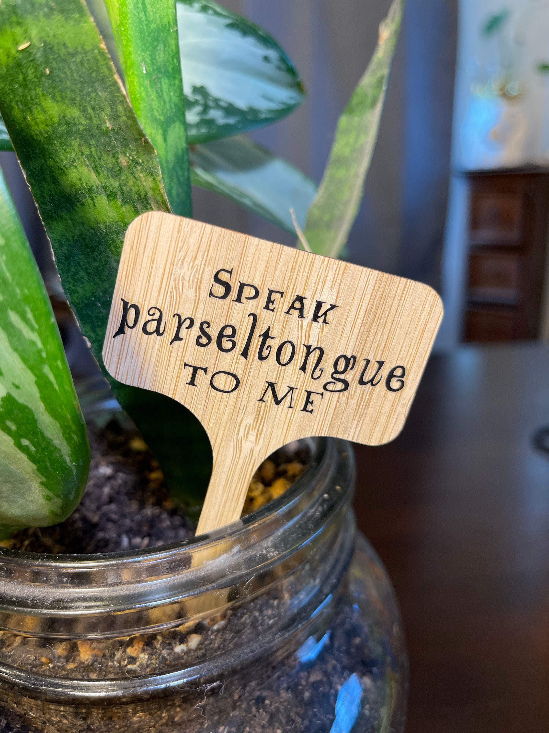 The Potter Collection - Etsy