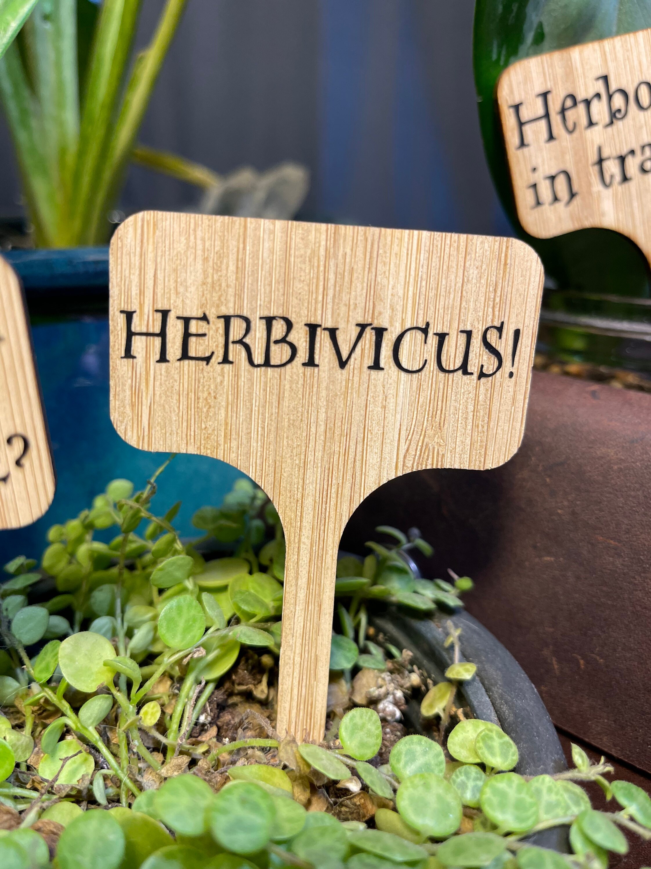 The Potter Collection - Etsy