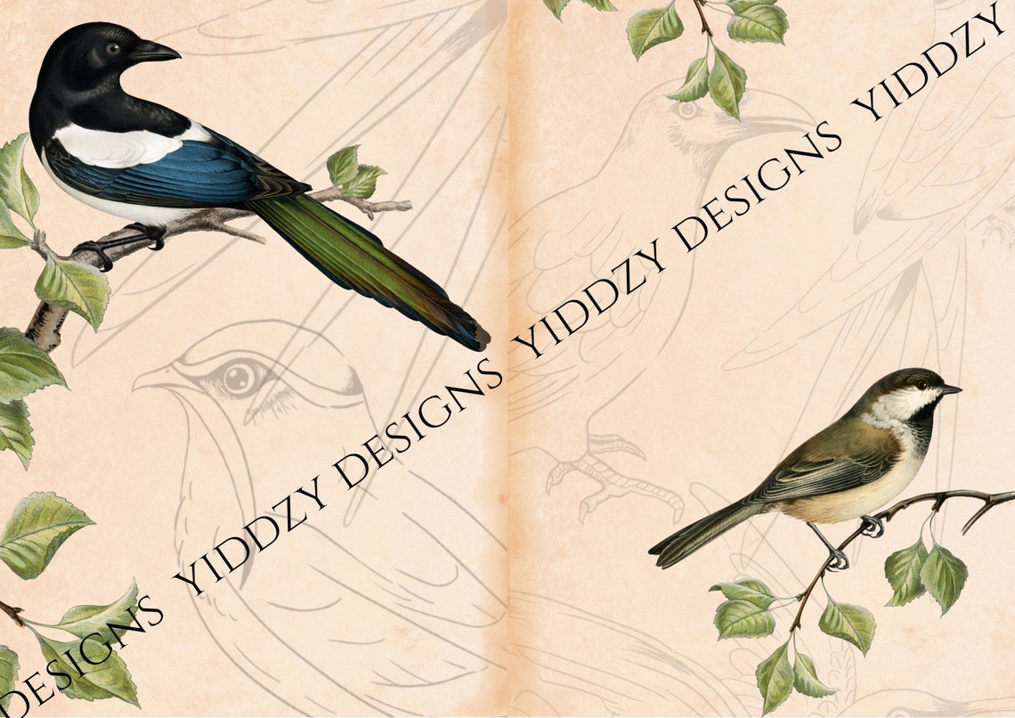 Bird Junk Journal Pages Kit | Etsy