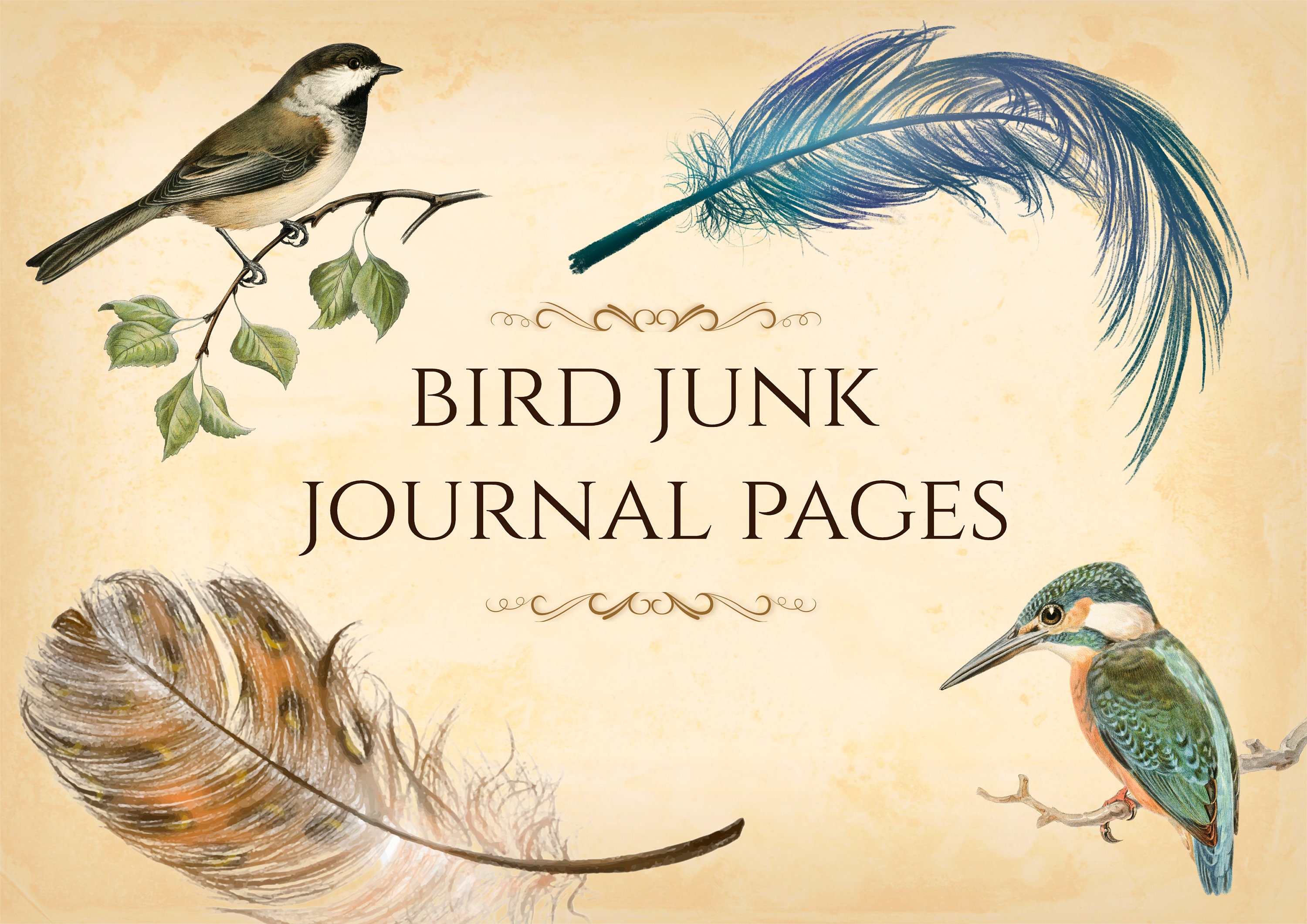 Bird Junk Journal Pages Kit | Etsy