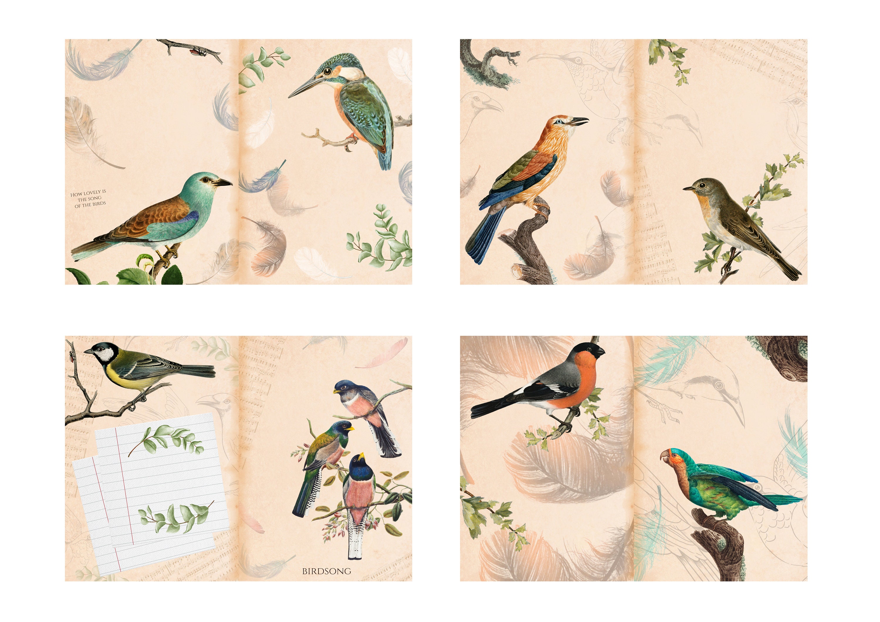 Bird Junk Journal Pages Kit | Etsy