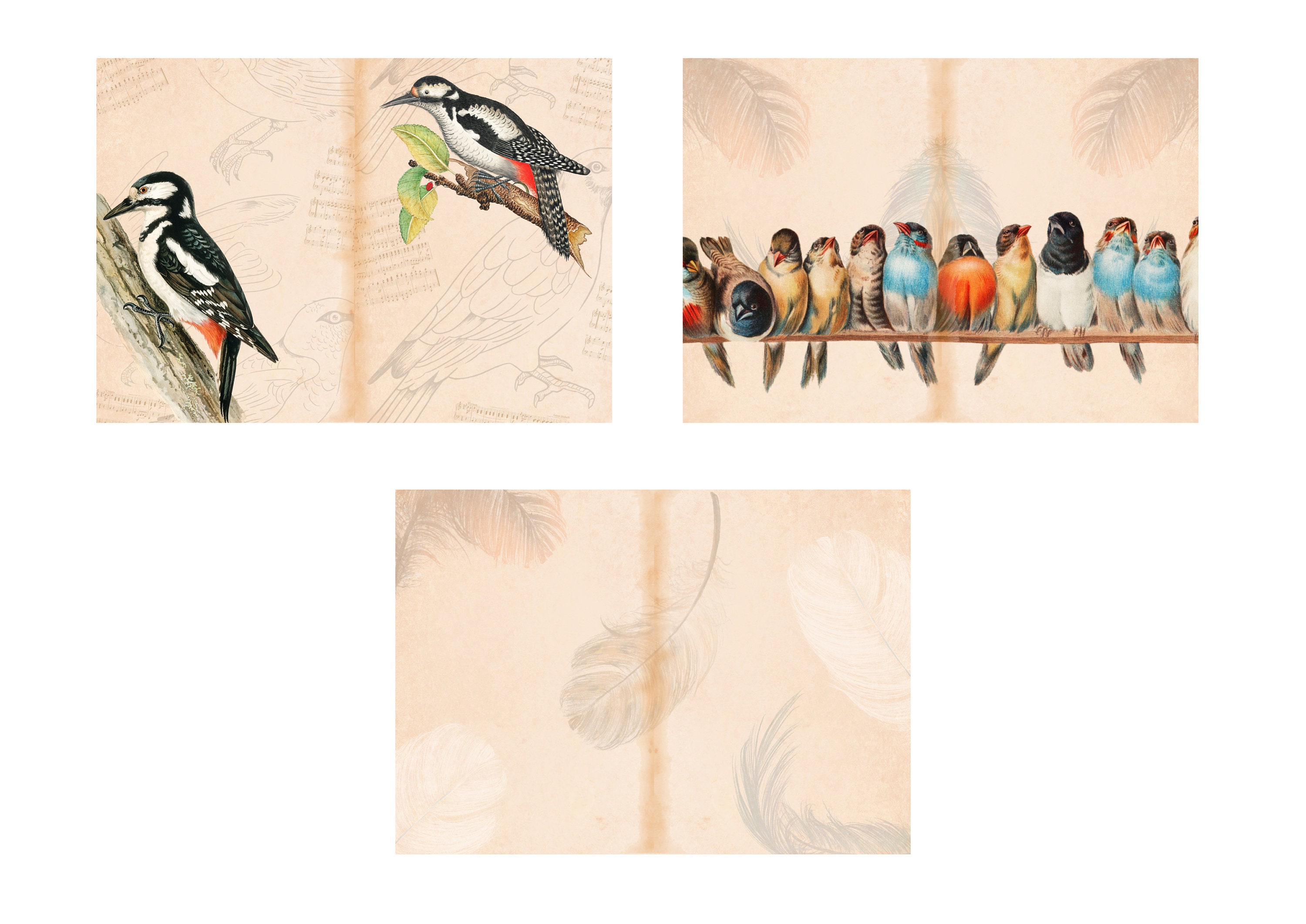 Bird Junk Journal Pages Kit | Etsy