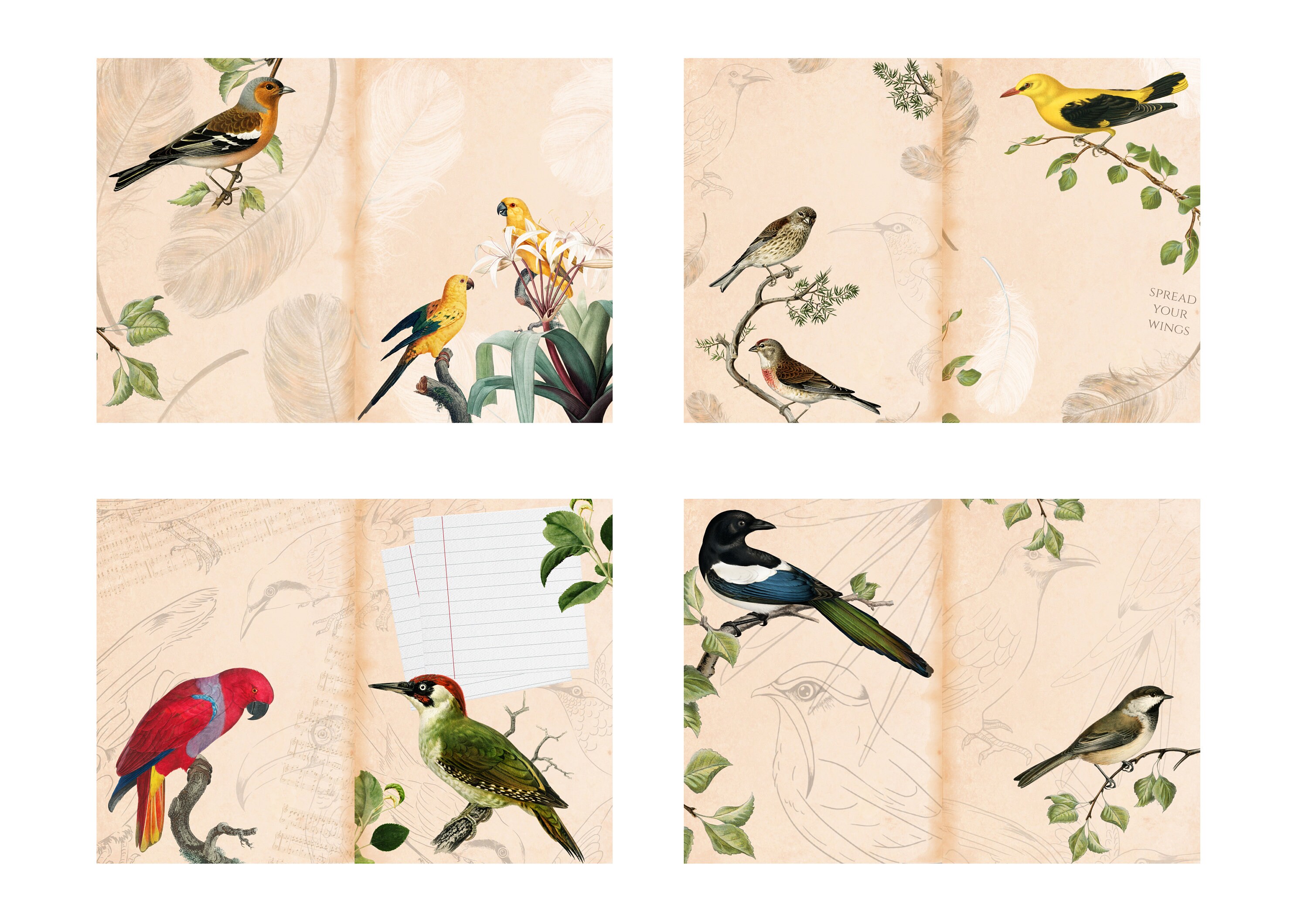Bird Junk Journal Pages Kit | Etsy