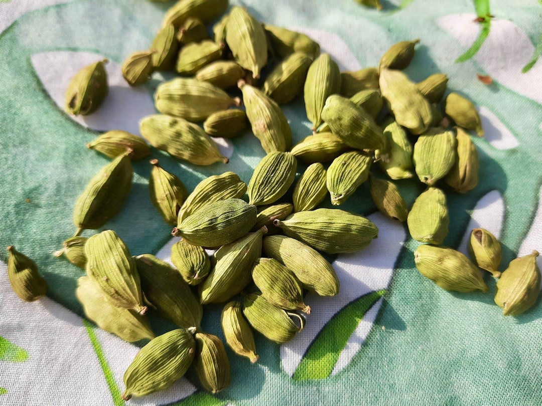 Kerala Cardamom: Single Estate Organic Spice, Farm Fresh - Etsy