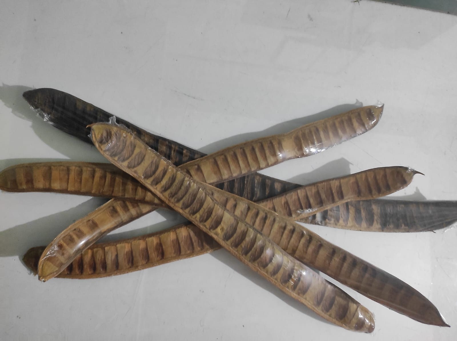 Natural Flamboyant Tree Pod / Flame Tree Seed Pod for Home Decor - Etsy