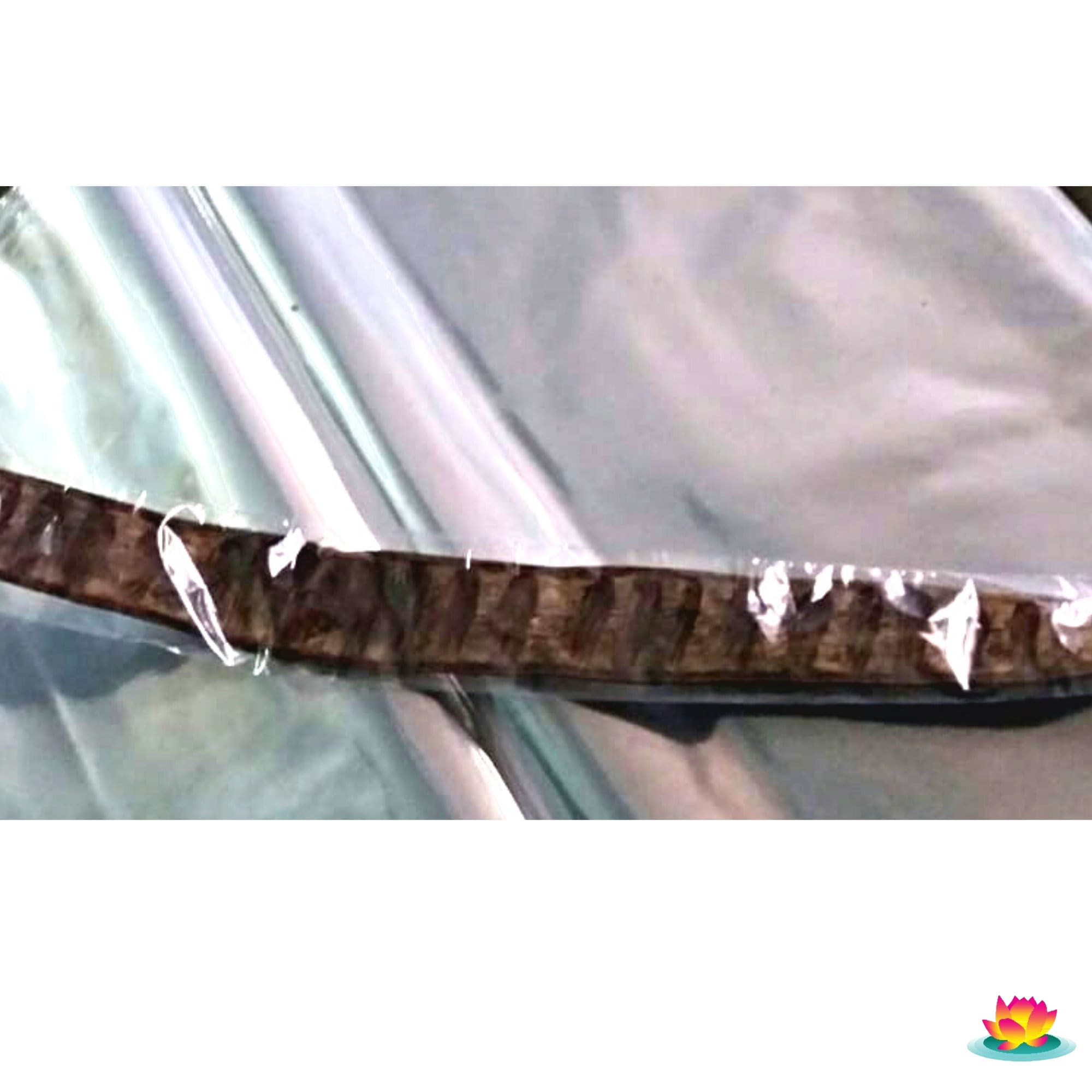 Natural Flamboyant Tree Pod / Flame Tree Seed Pod for Home Decor - Etsy