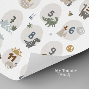 Set of 2 Dinosaur Prints Dino Alphabet & Numbers Boys Bedroom Decor ...