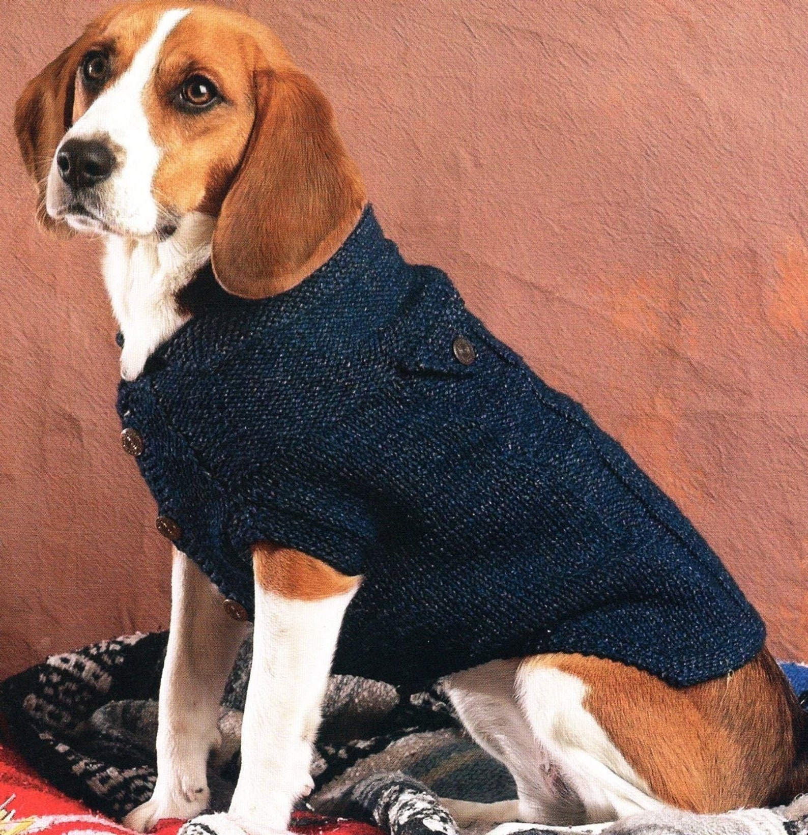 Dog Sweater Coat Knitting Pattern Dog Sweater Jacket Knitting Pattern ...