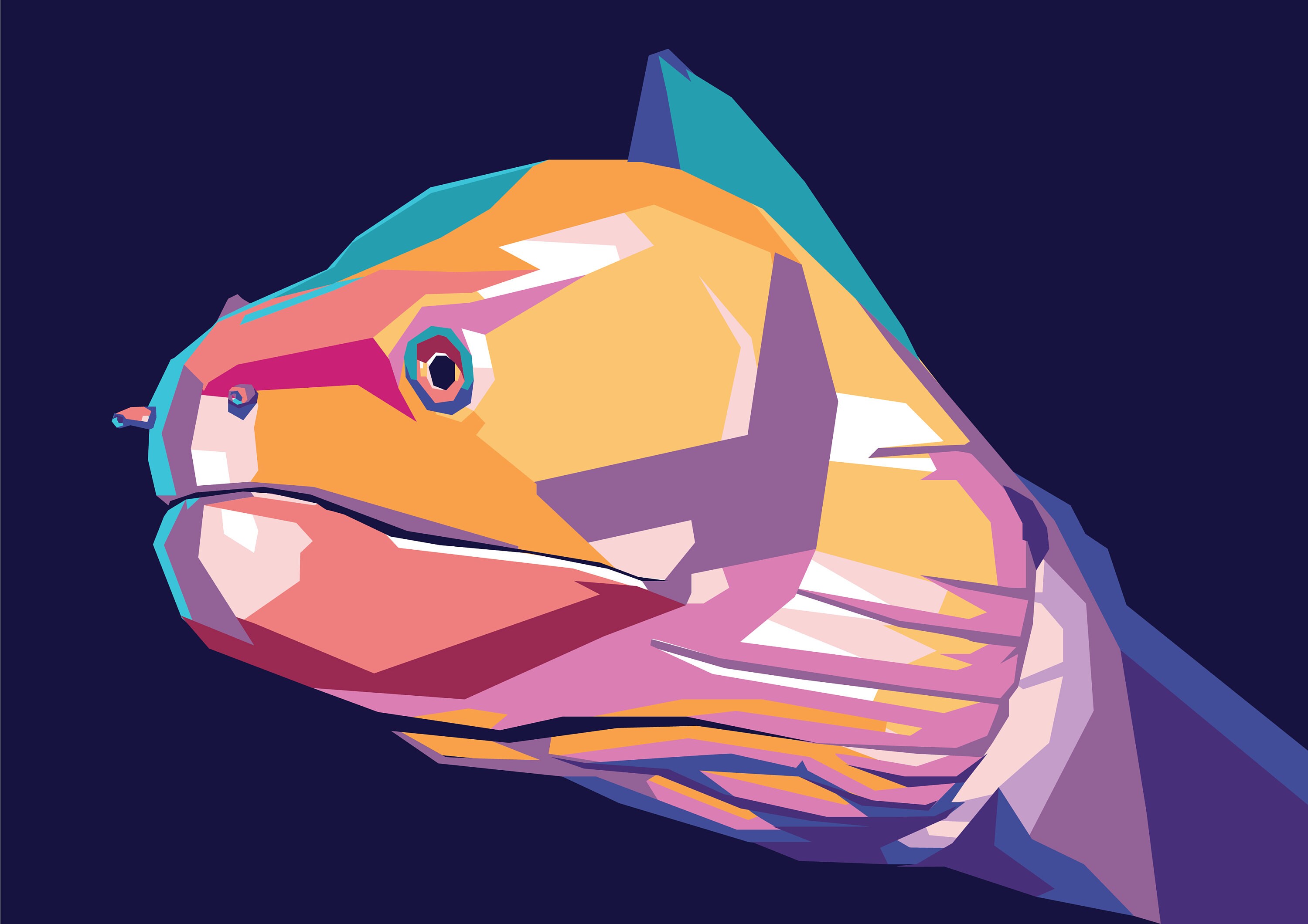 Eel Limited Poster Artwork Professional Wall Art Merchandise more Sizes ...