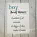 Boy Definition Wood Bedroom Wall Decor - Etsy