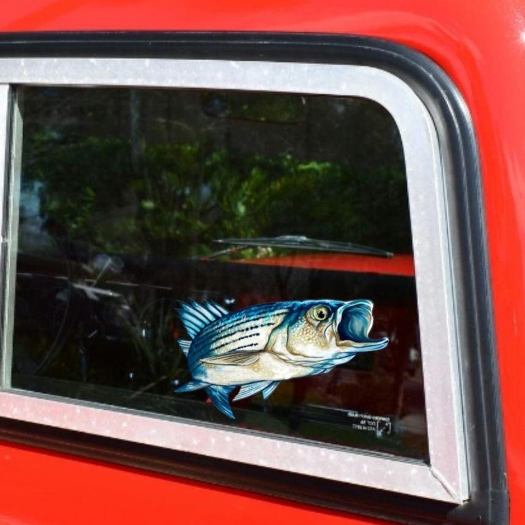 Striped Bass Sticker Window Bumper Fishing Decal Striper Rockfish - Etsy