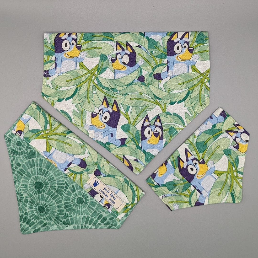Bluey Reversible Slide-on Collar Bandana - Etsy