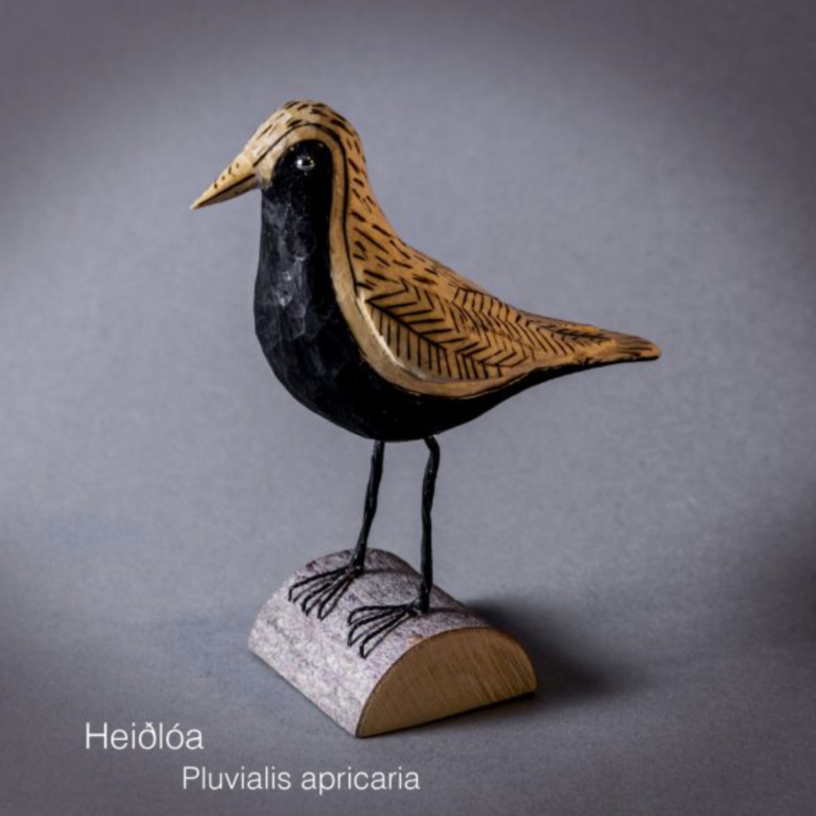 Hand Carved Wood Plover From Icelandic Birch Wood - Pluvialis Apricaria ...